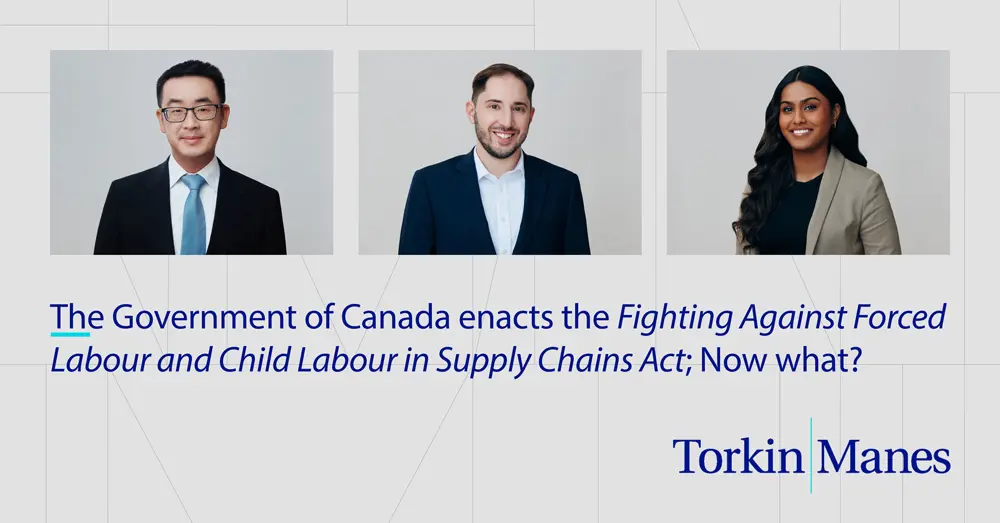 The Government of Canada enacts the Fighting Against Forced Labour and ...